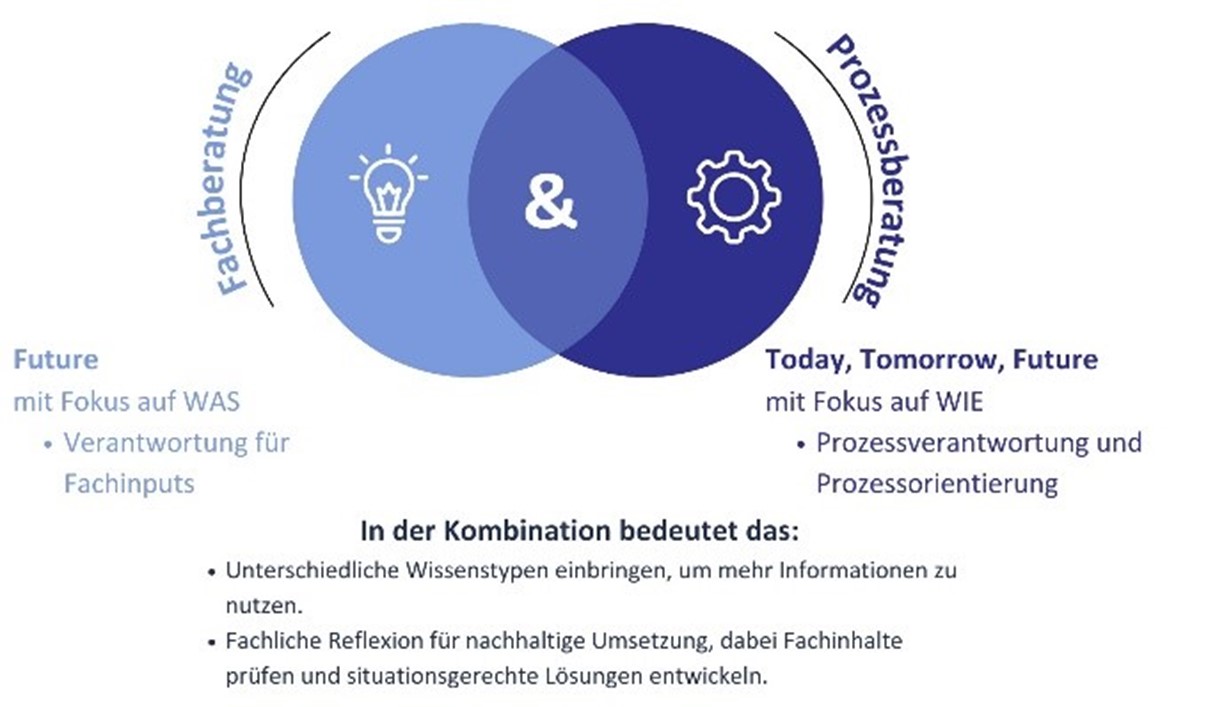 Organisationsentwicklung, systemische Beratung
